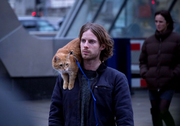 RIP Bob: The Street Cat Who Saved Lives – Pain In The Bud