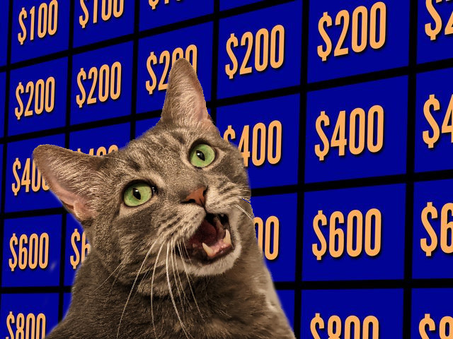 Buddy Guest-Hosts Jeopardy: ‘He’s No Meowlex Trebek’ – Pain In The Bud