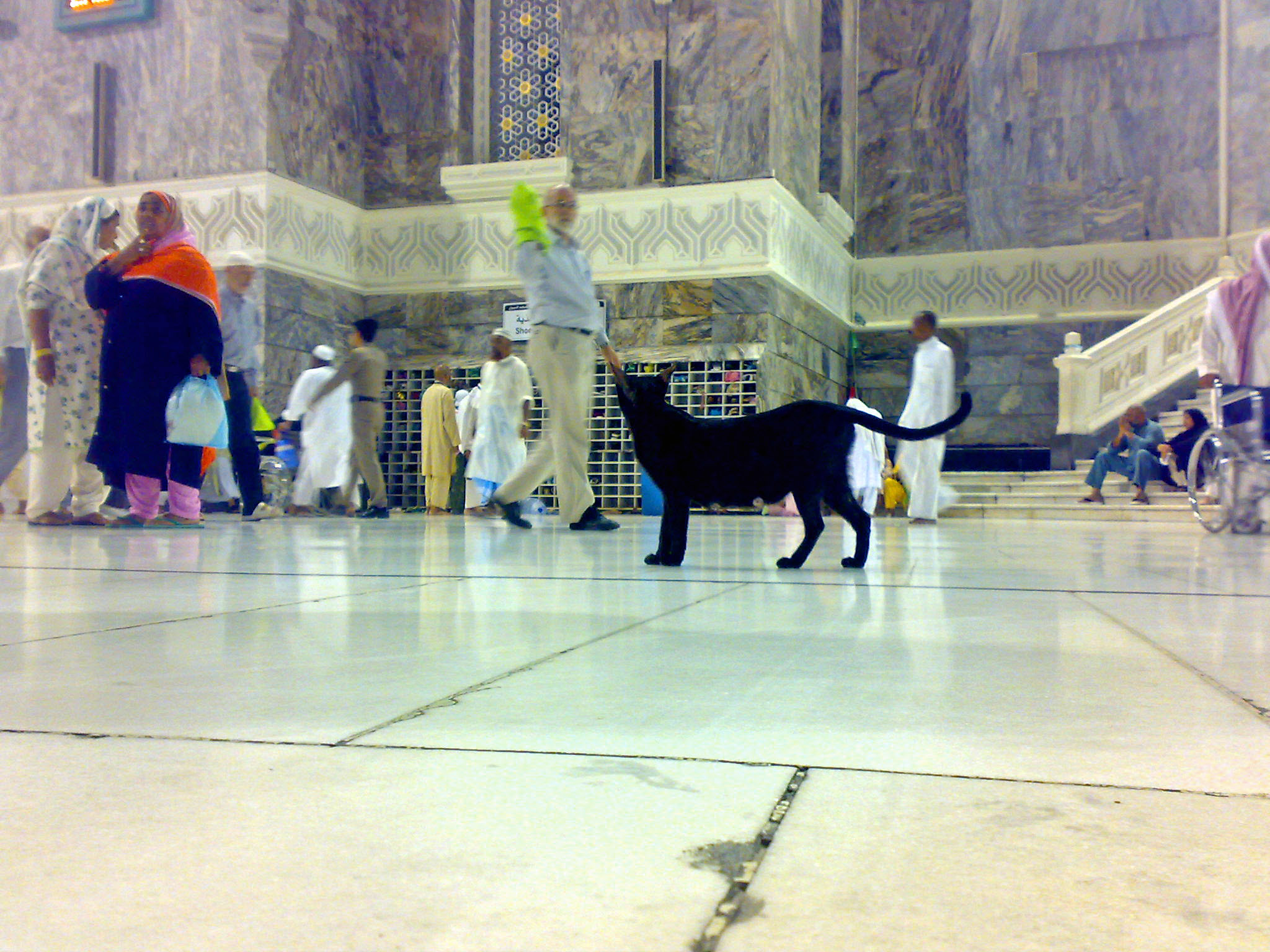 Black_cat_around_Masjid_al-Haram – Pain In The Bud