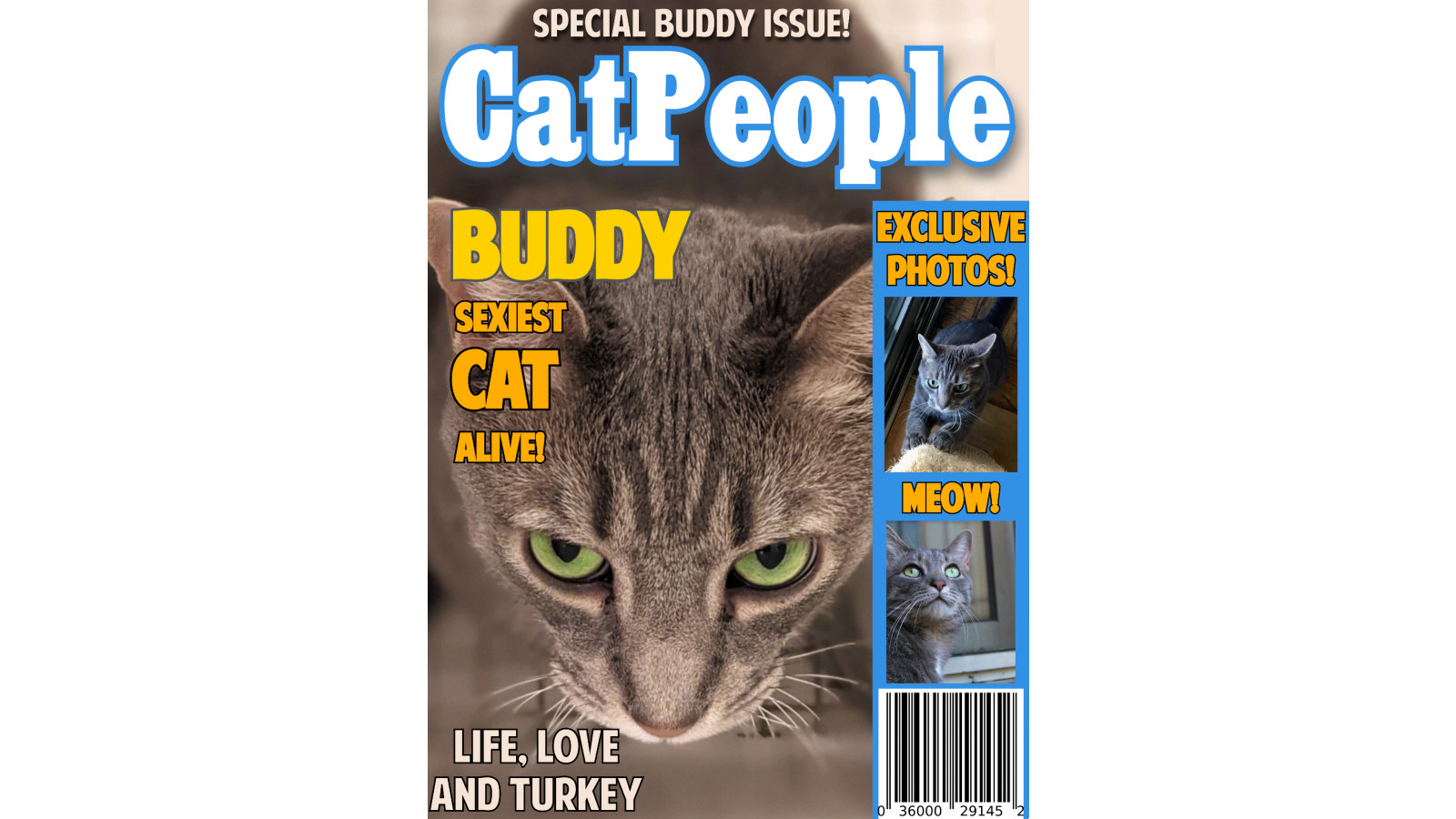 CatPeople Magazine Names Buddy 2022’s Sexiest Cat Alive! – Pain In The Bud