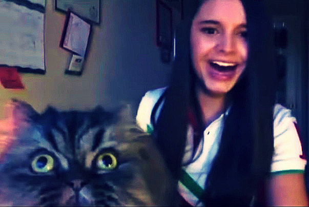 Cat Cuts In For Duet With His Opera-Singing Human – Pain In The Bud