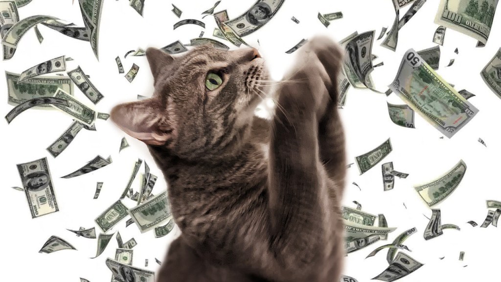 Wealthiest Cats In The World: Taylor Swift’s Cat Makes Choupette Look ...
