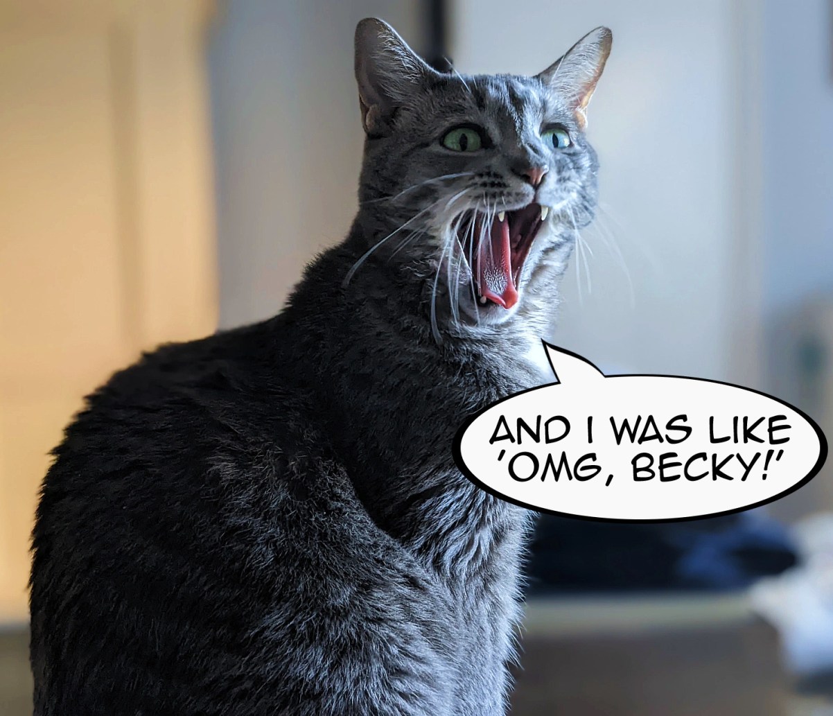 Is Your Cat In Pain? The Feline Grimace Scale Can Tell You – Pain In ...