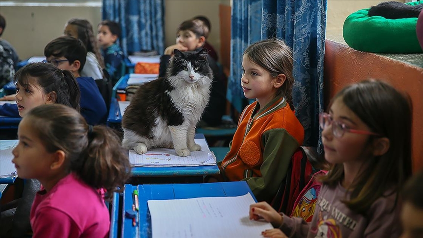 ‘School With Paws’: Cats In Class Help Kids Readjust After Pandemic ...