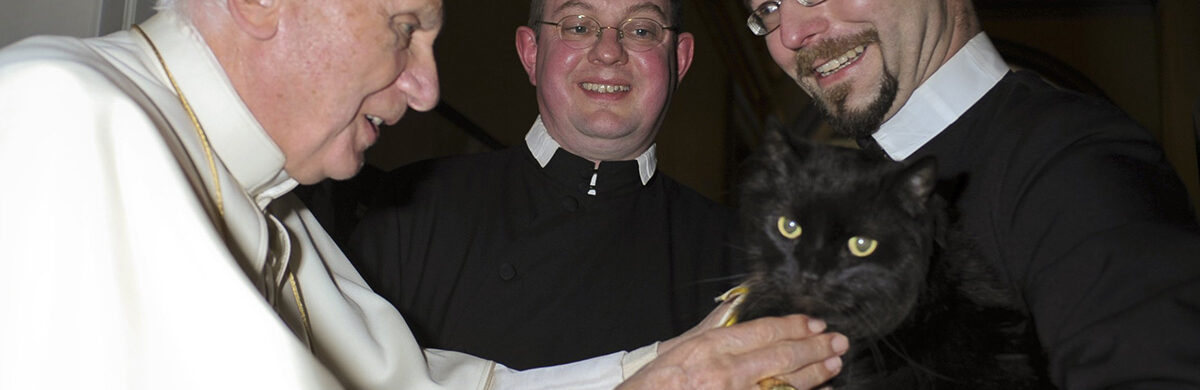 Pope Benedict Asked Us To Be Compassionate Toward Cats And Other ...