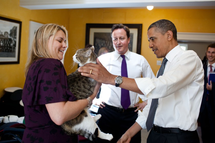 Check Out This Beautiful Gallery Of Larry The Cat, PLUS: A New Game ...