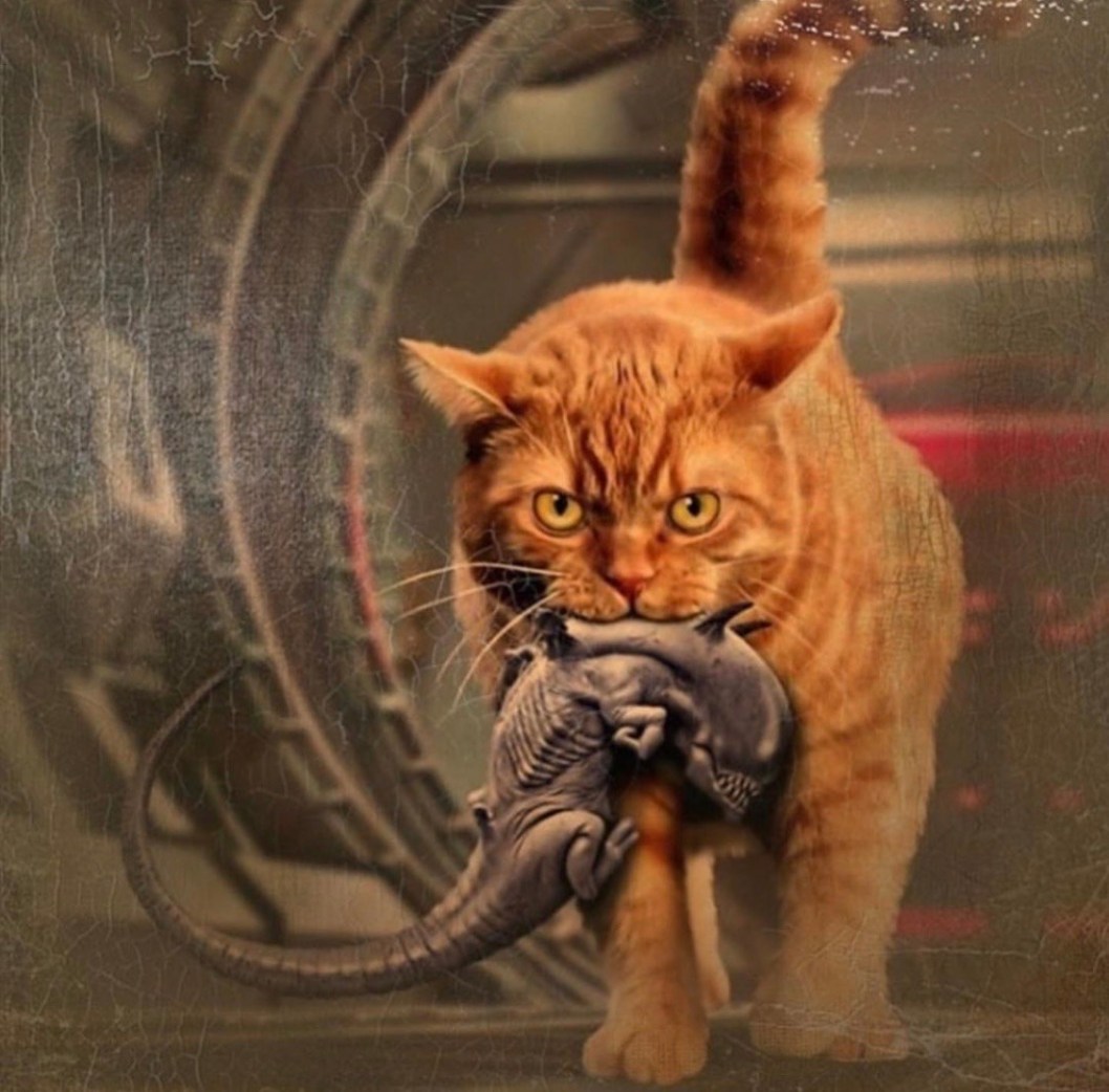 The Greatest Feline In Science Fiction Film History Is About To Turn 45 ...