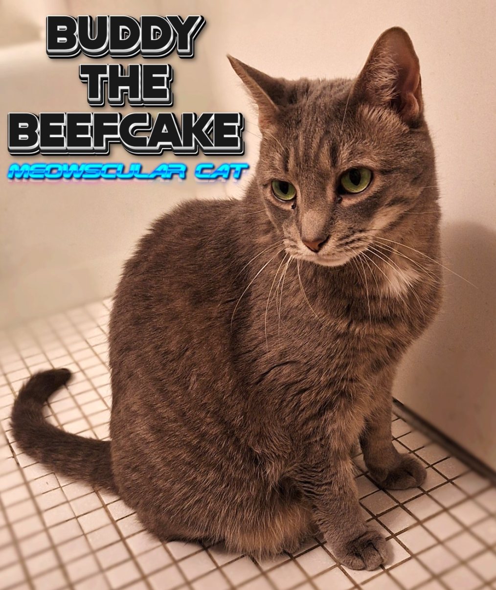 The Cat With The Mat – Pain In The Bud