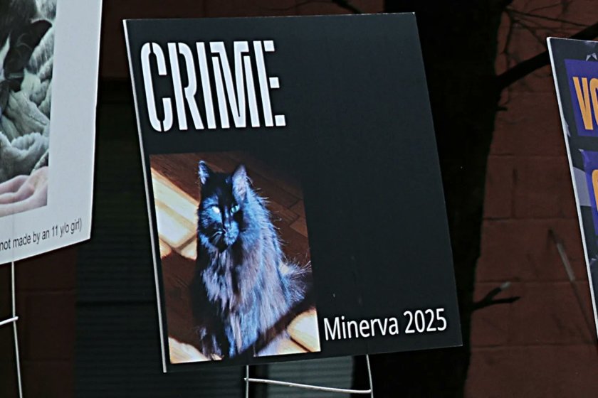 Meowscular Monday: A New Cat Mayor Wins Office In Somerville, Mass.!