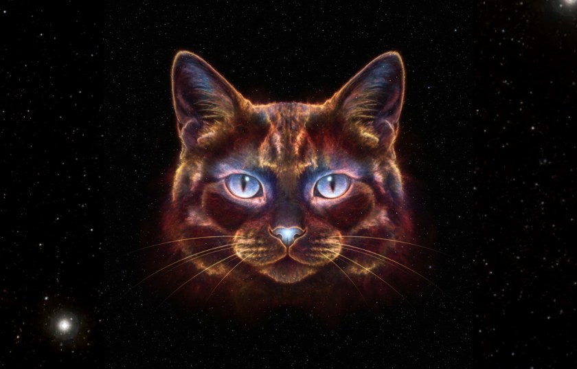 People Think This Nebula Resembles A Smiling Cat, PLUS: What Kind Of ...