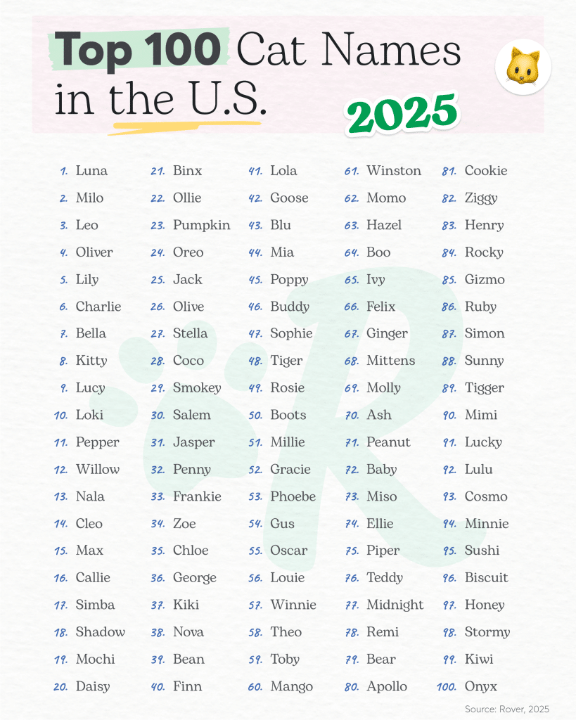 Rover’s Top 100 Cat Names Is Rich in Lunas, Bellas And Milos, But ...